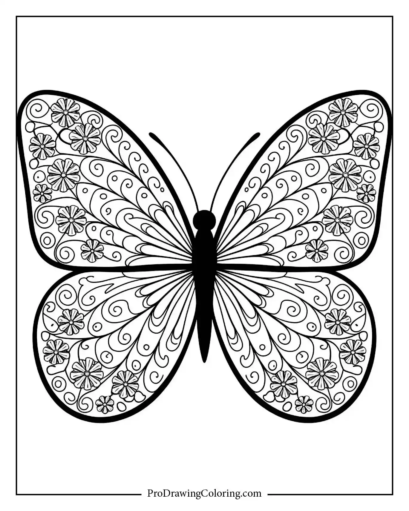 Butterfly Coloring Pages – Free Creative Printable Sheets