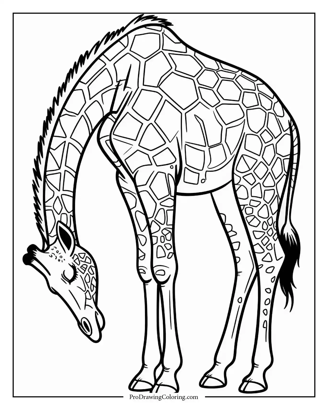 Free Giraffe Coloring Pages – Cute Printables for All Ages