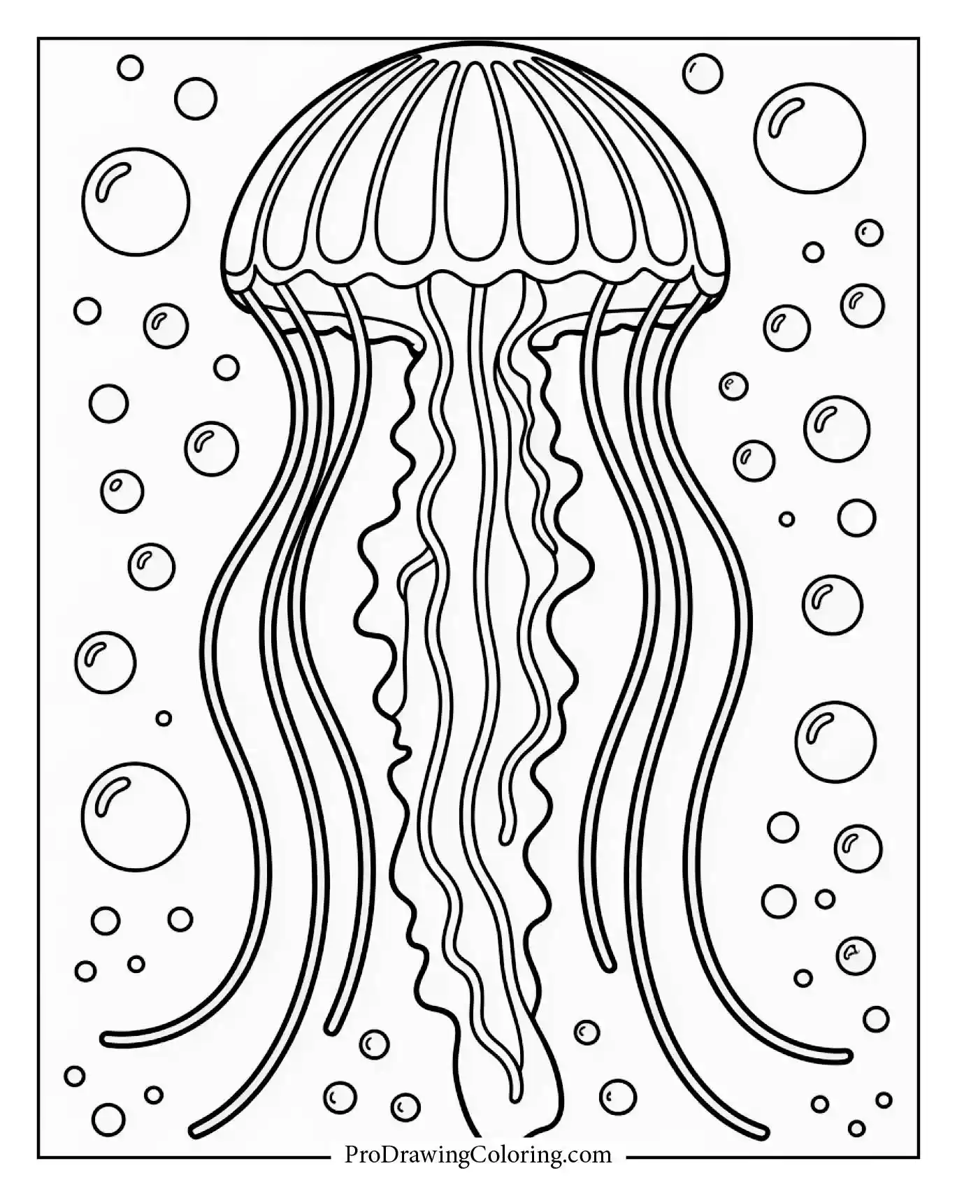 Coloring Page of Ocean Animals – Free Printable PDF Sheets