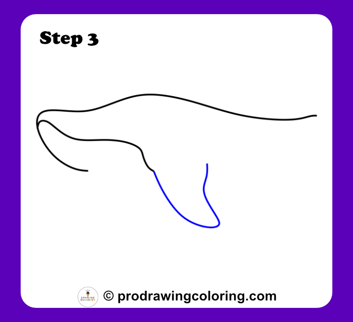 How to Draw a Shark: A Simple Step-by-Step Guide for Everyone - Pro ...