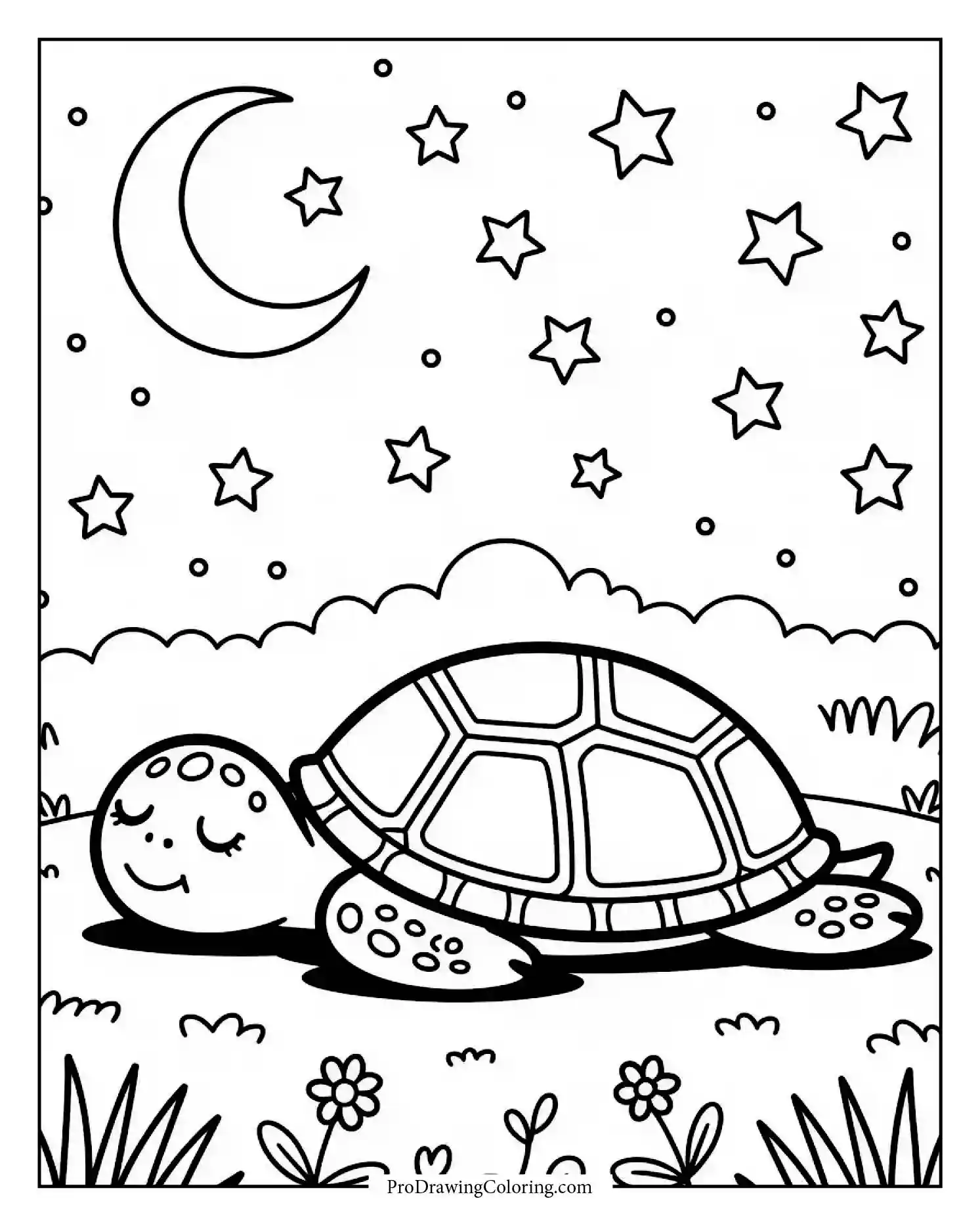 Turtle Coloring Pages – Free Turtle Printables to Download